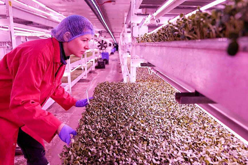 Британийн тэсрэх бөмбөгөөс хоргодох газарыг сэргээгдэх эрчим хүчээр ажилладаг ферм болгожээ